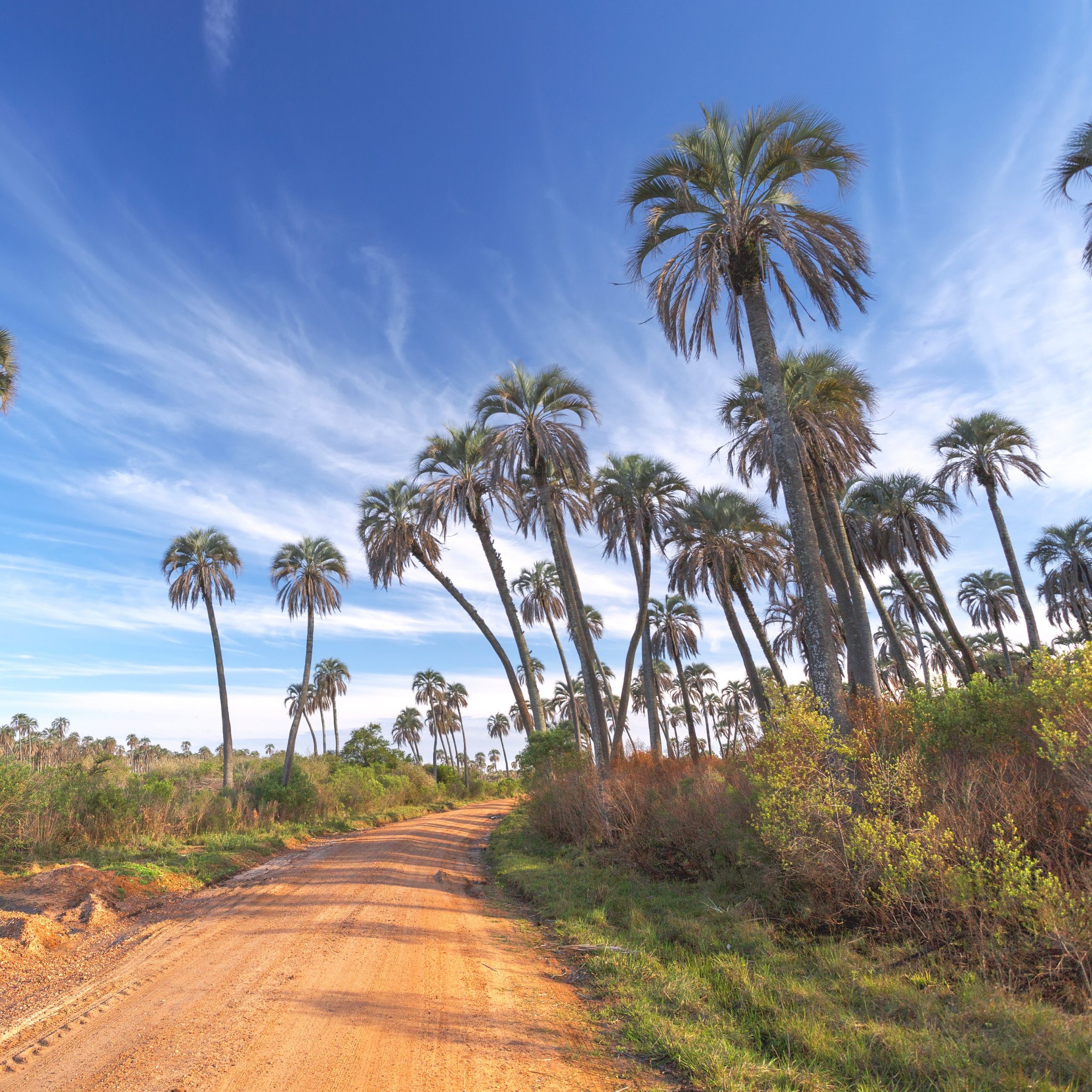 Entre Ríos - Argentinos por la Educación